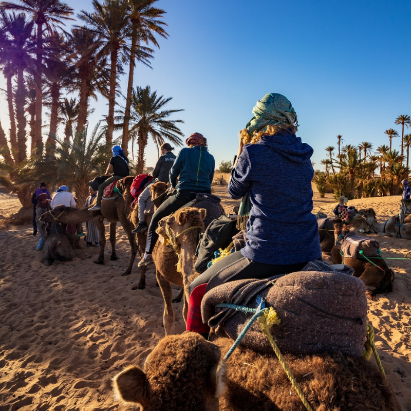 Bucket List Becomes Swashbuckling Adventure Tour Company | Side Hustle ...