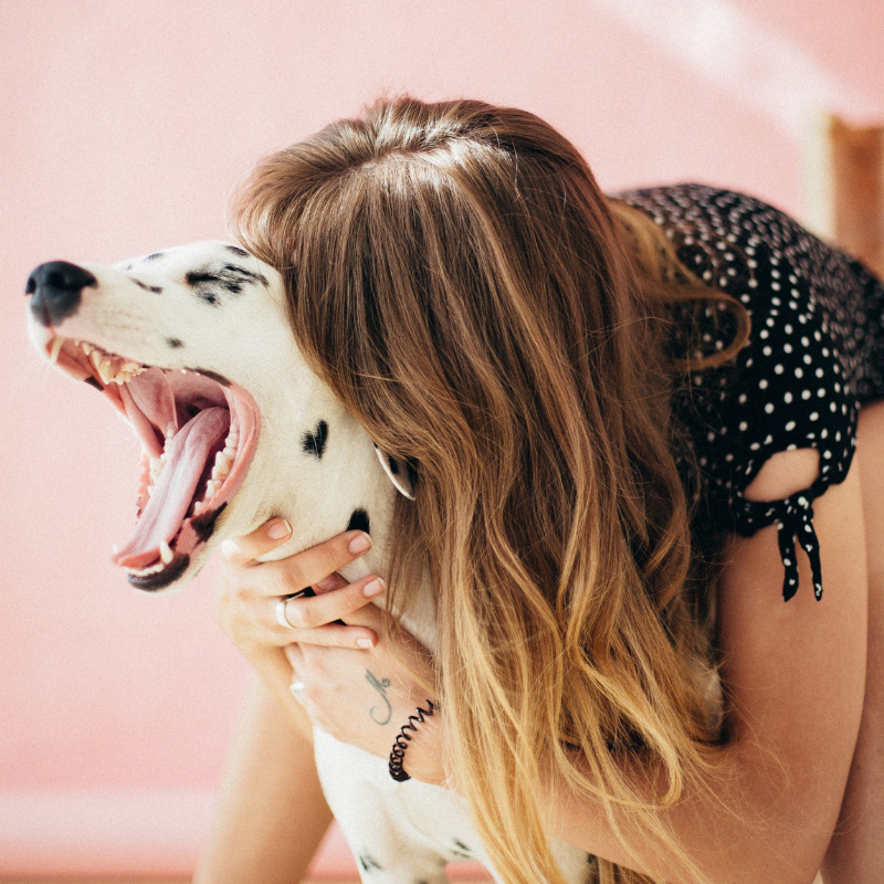 That’s the Spot! Dog Lover’s Hustle Becomes Fur-ever Biz | Side Hustle ...